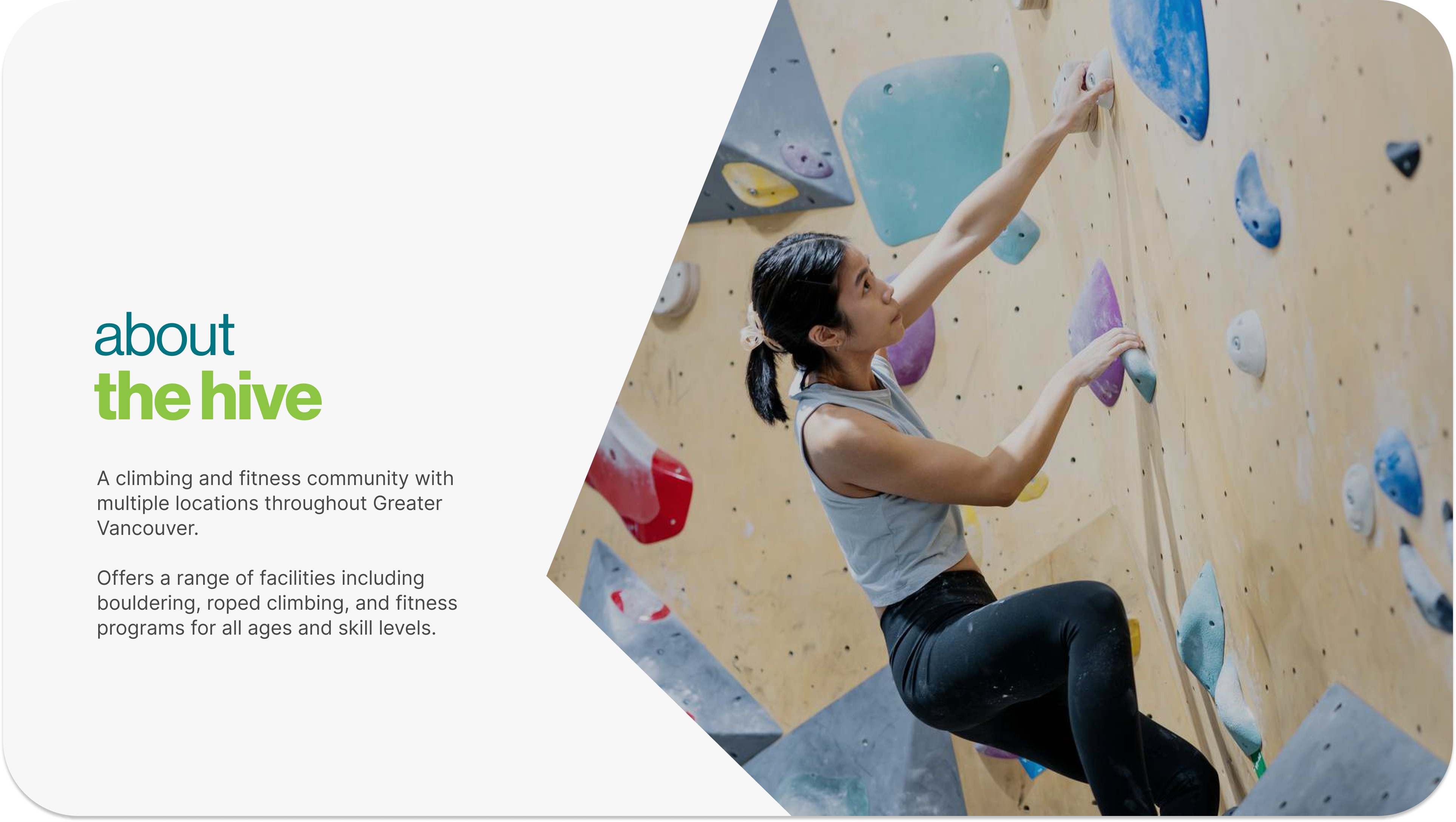 Portfolio website Miji